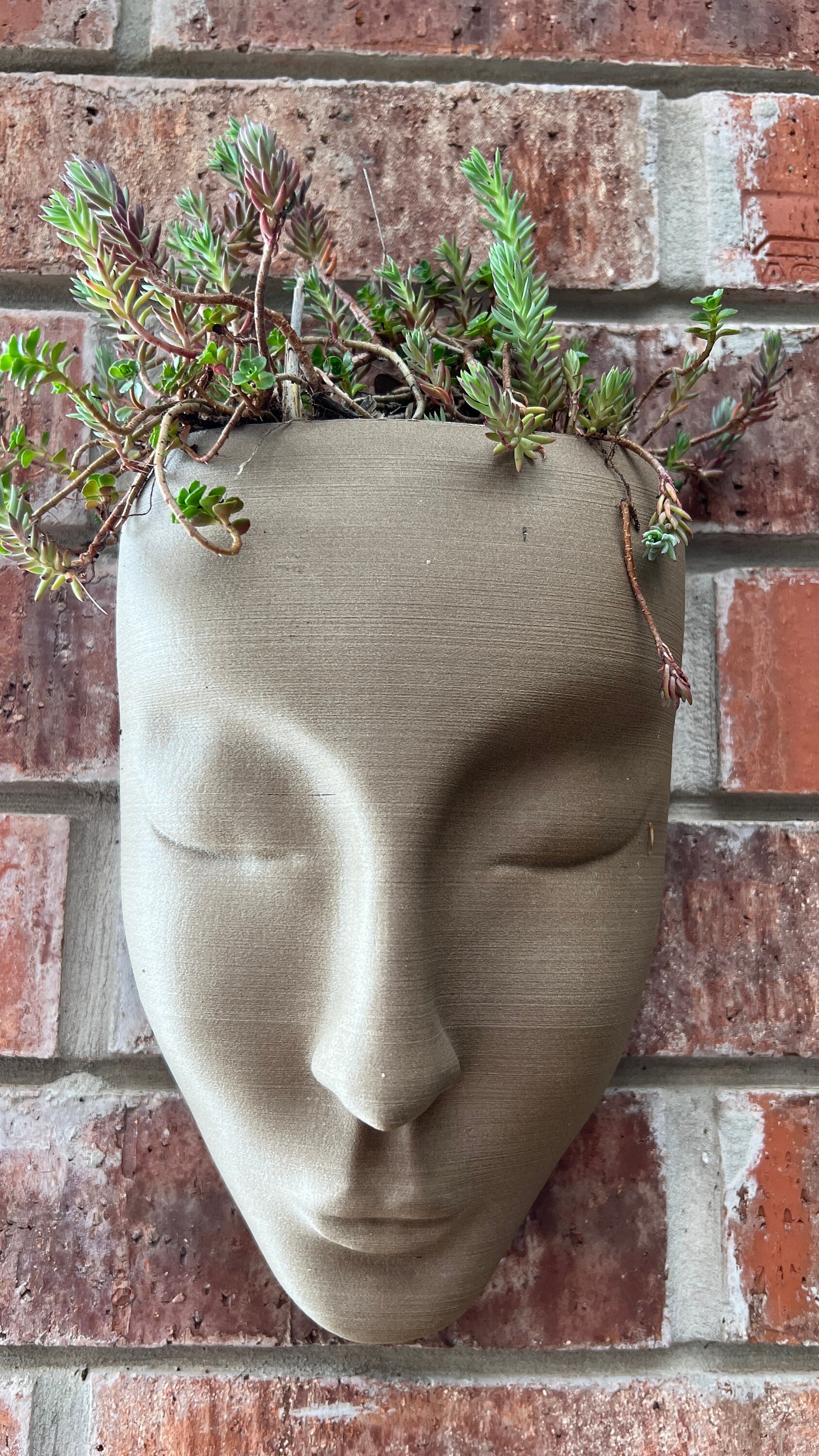 Large Face Wall Hanging Planter - Etsy