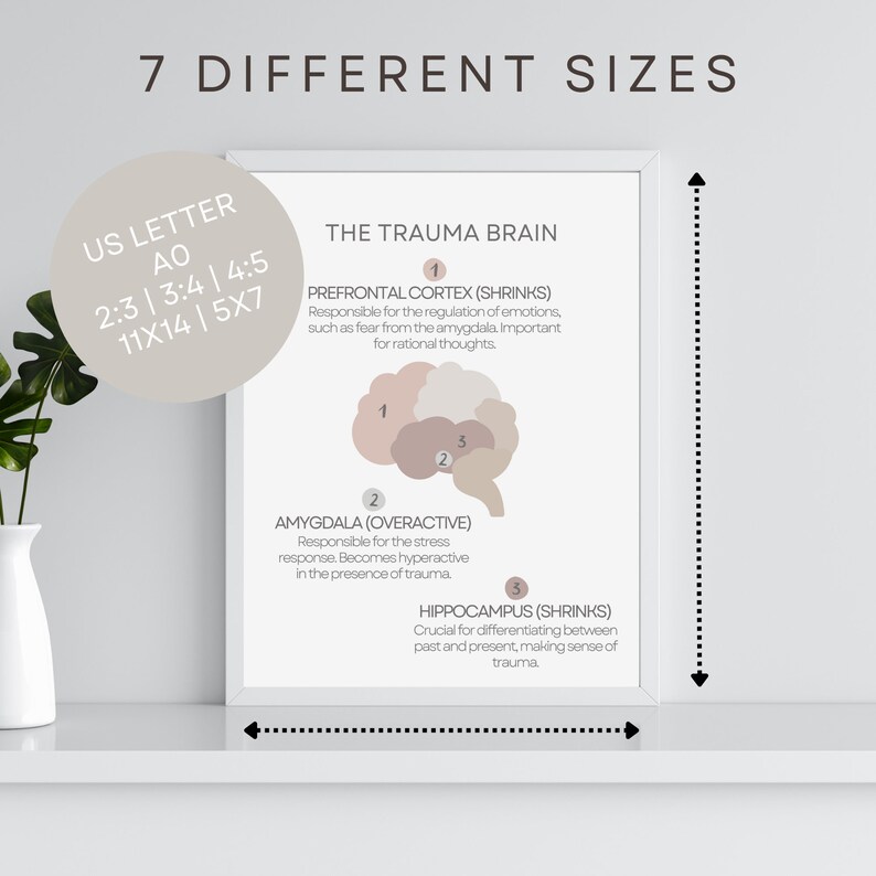 Trauma Brain Therapy Poster, Psychoeducation Wall Art, Healing Trauma ...