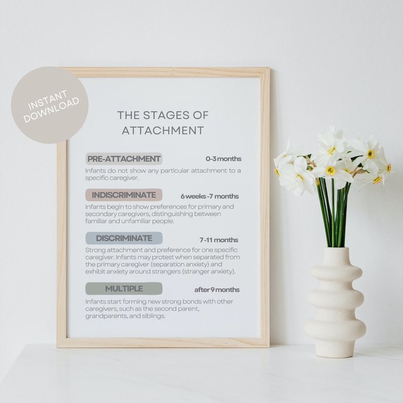 Child Development Psychology Poster, Stages of Attachment Print ...