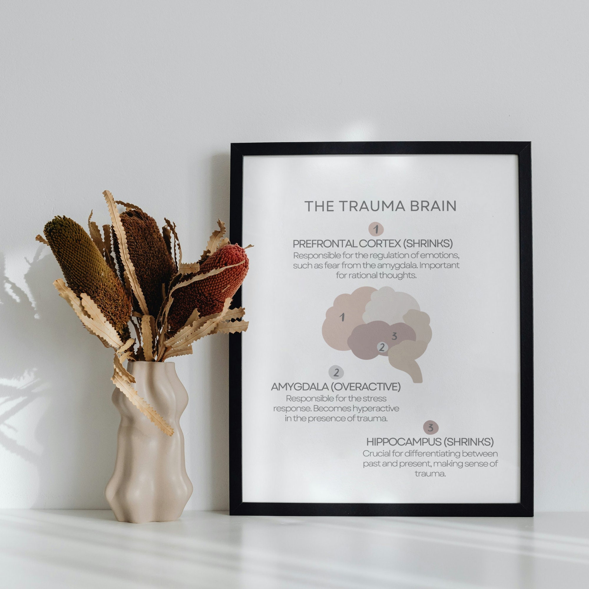 Trauma Brain Therapy Poster, Psychoeducation Wall Art, Healing Trauma ...