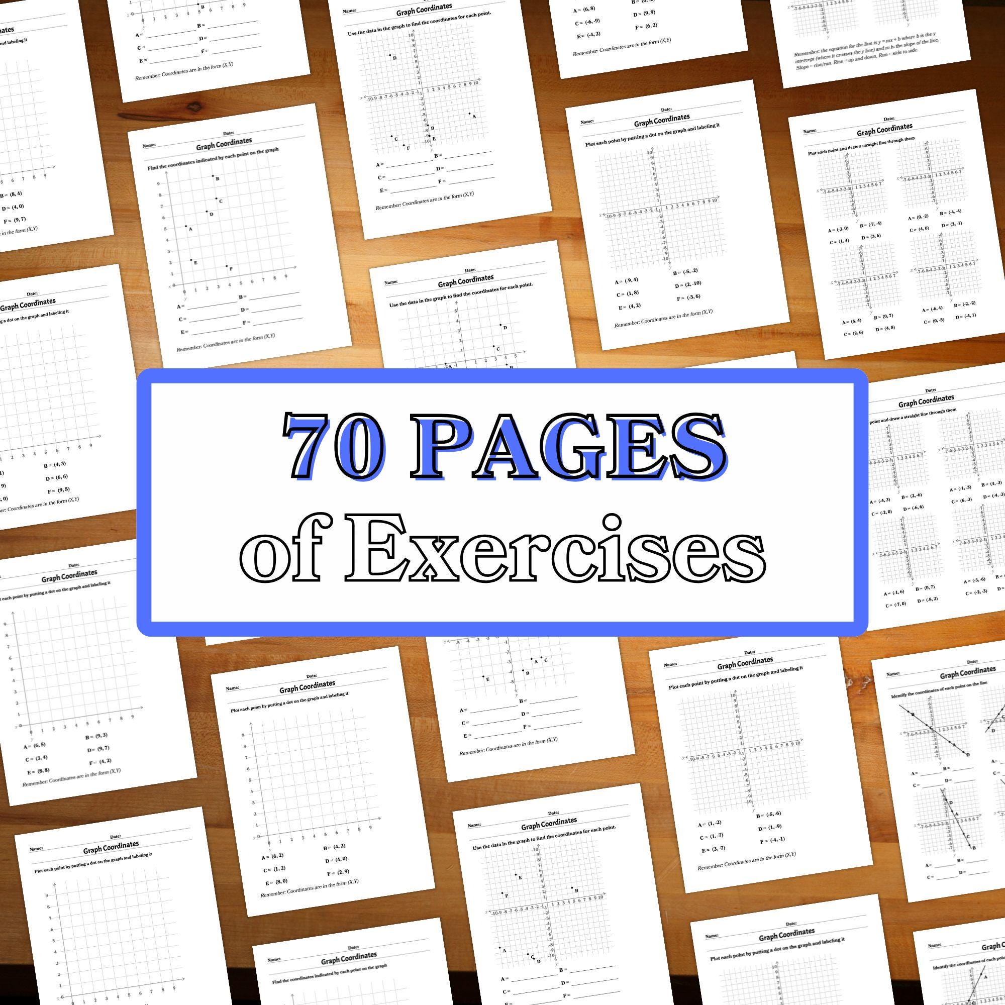 Graphing Worksheets: Practice Sheets for Graphs, 70 Pages (digital ...