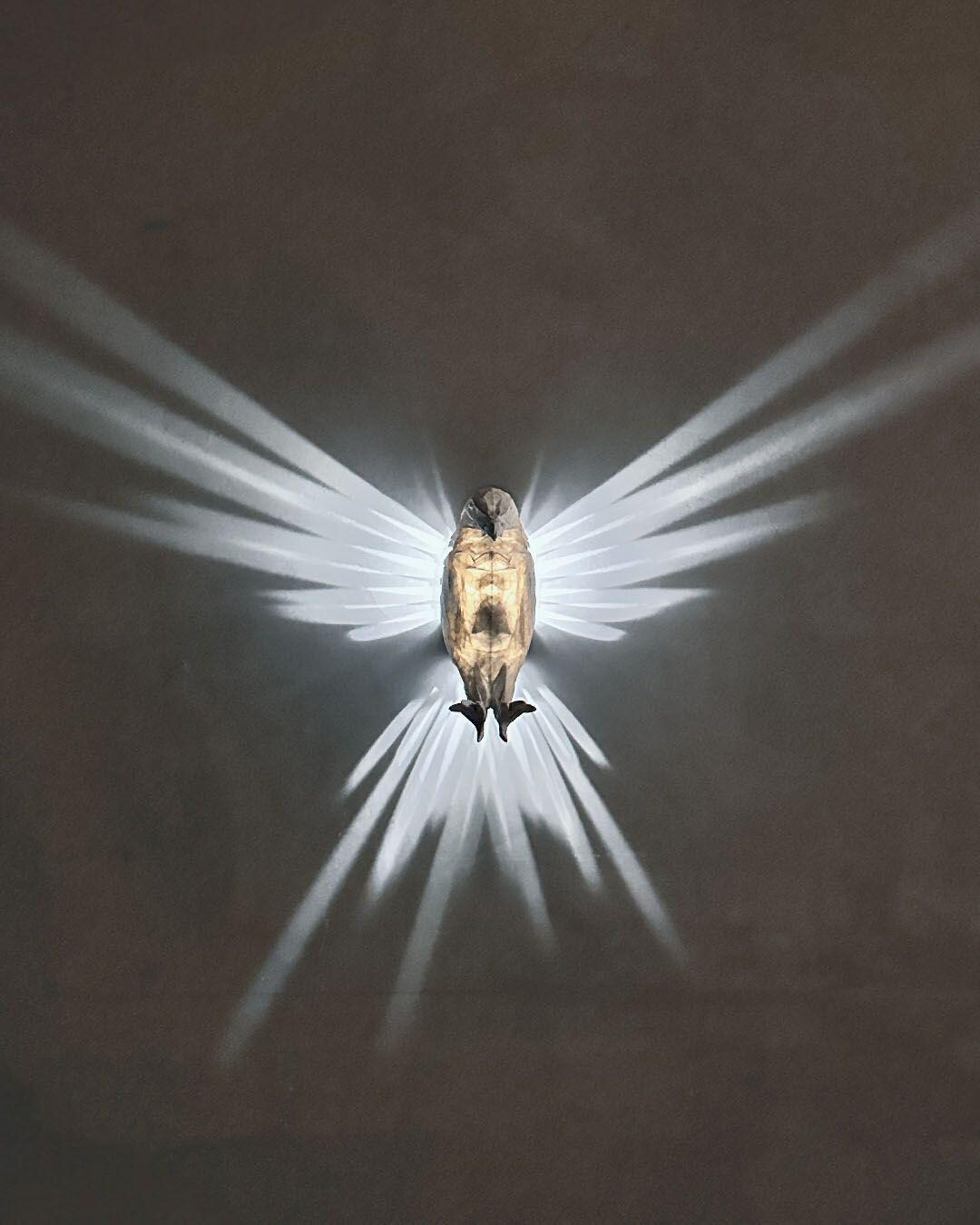 Bald Eagle Wall Lamp | Double Wing Shadow Caster | Artisan Sconce - Etsy