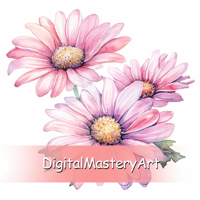 Hand-painted Pink Daisy Clipart, High-quality Watercolor Graphics - Etsy