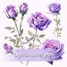 Watercolor Lavender Roses Clipart/ Stunning Floral Designs for Crafts ...