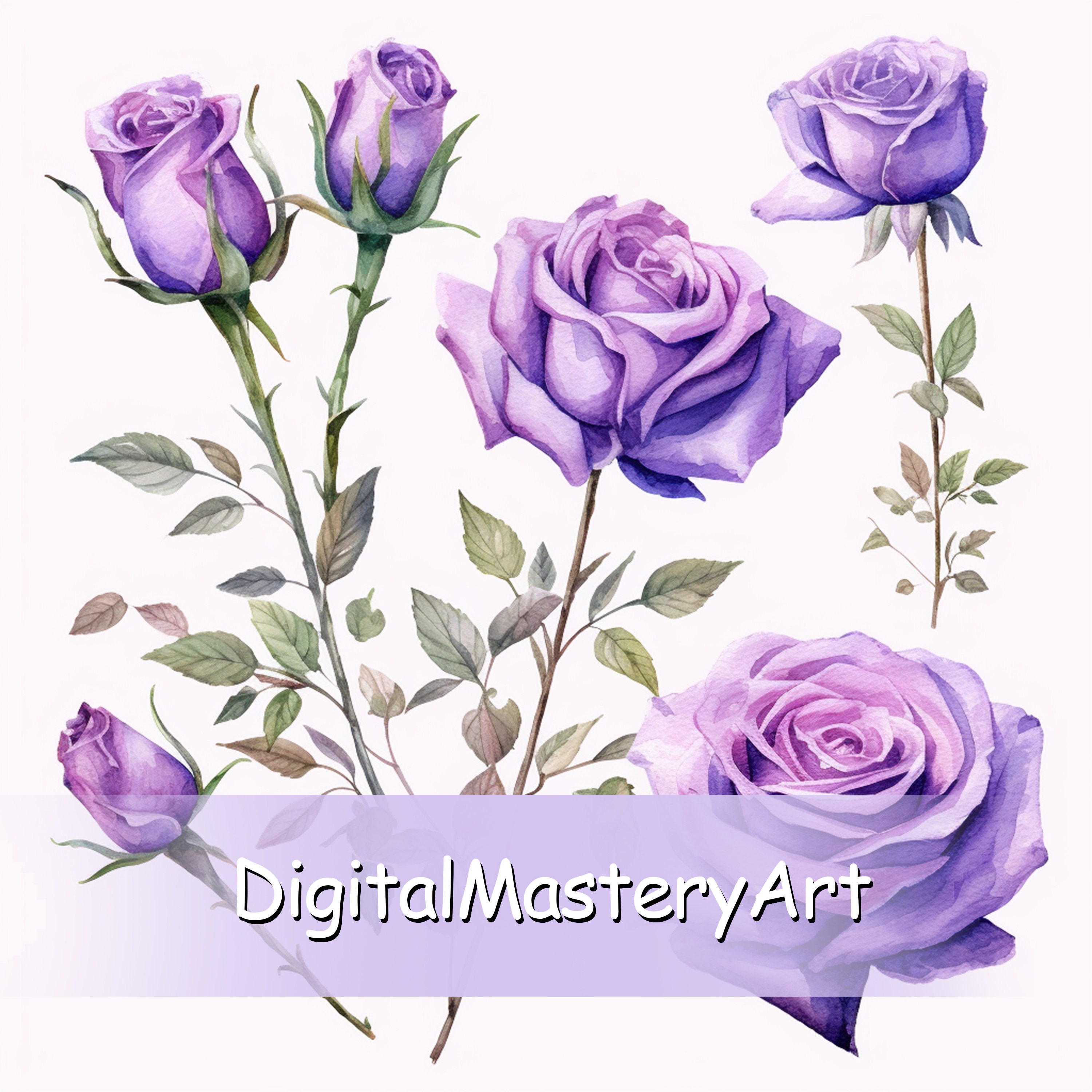 Watercolor Lavender Roses Clipart/ Stunning Floral Designs for Crafts ...