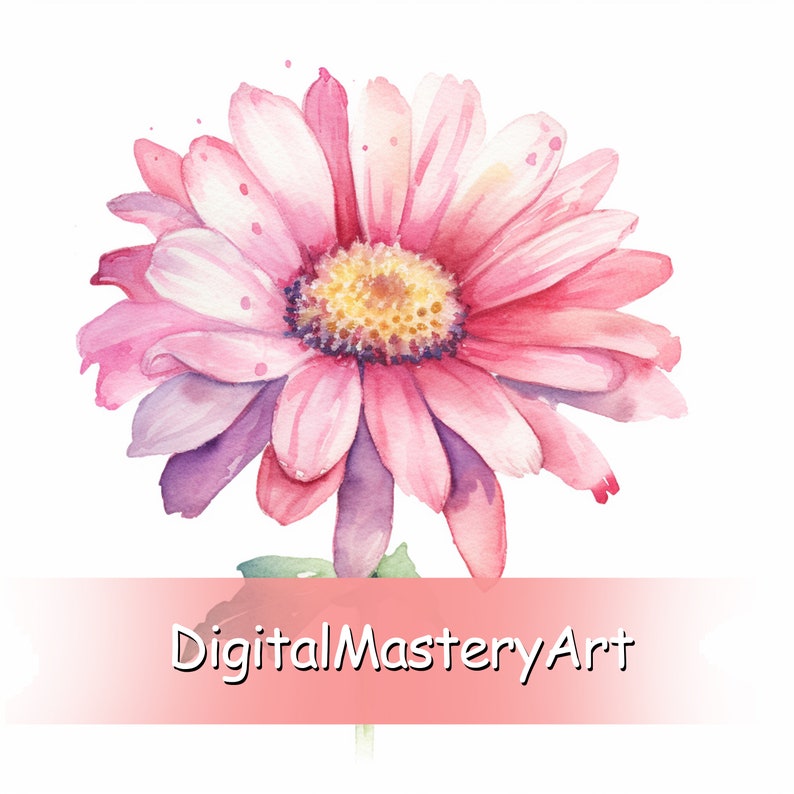 Hand-painted Pink Daisy Clipart, High-quality Watercolor Graphics - Etsy