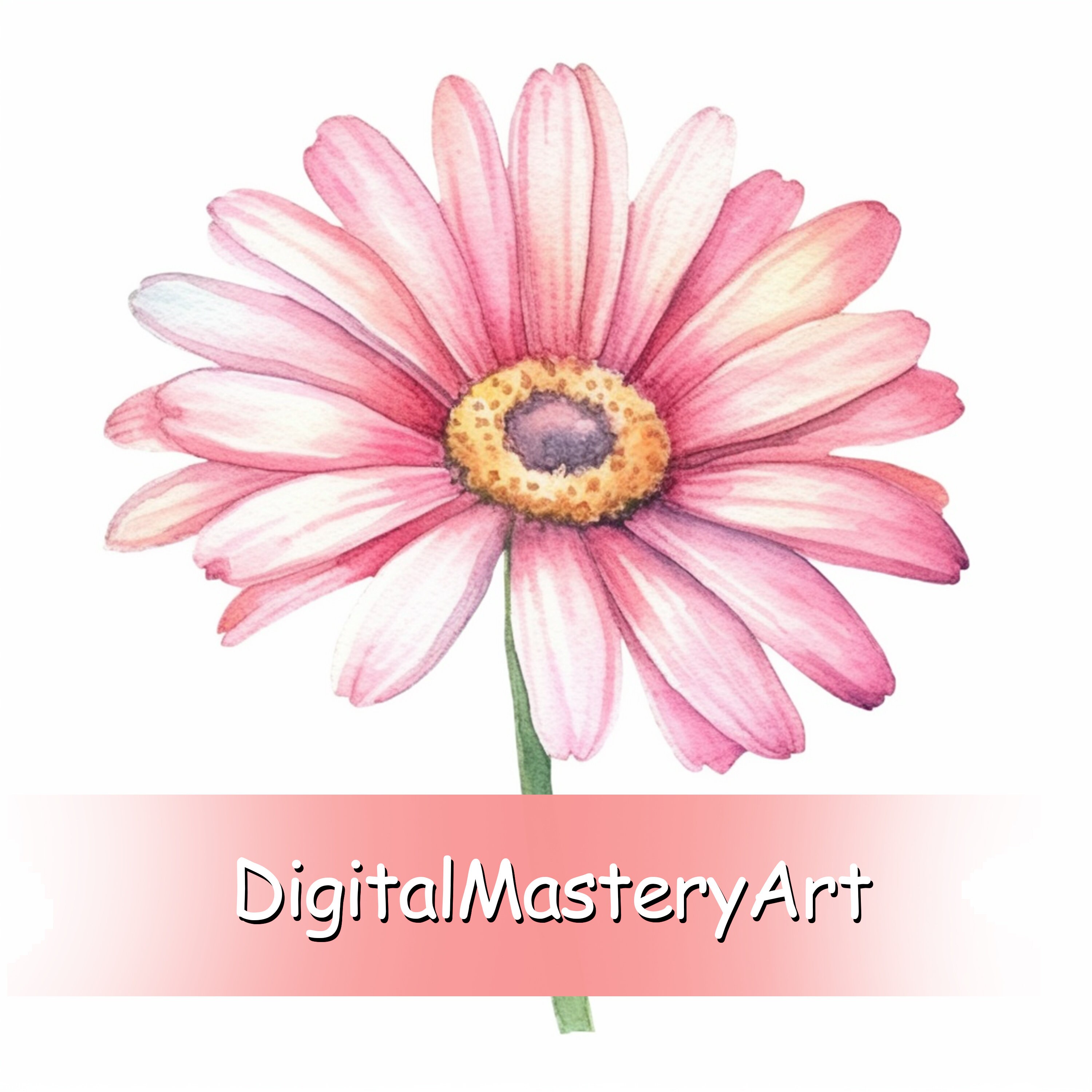 Hand-painted Pink Daisy Clipart, High-quality Watercolor Graphics - Etsy