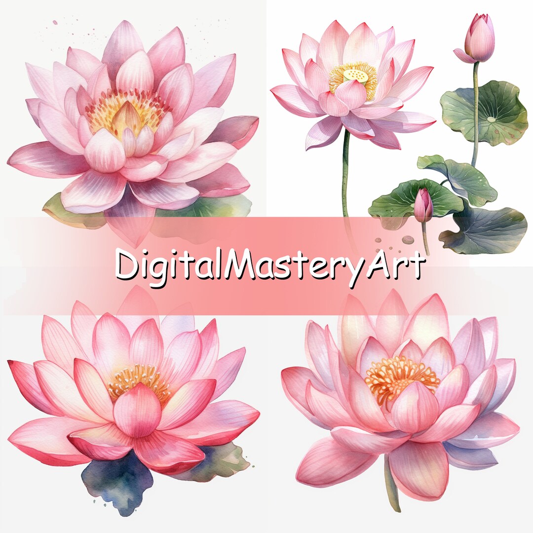 Pink Lotus Clipart, Delicate Watercolor Blooms for Digital Designs and ...