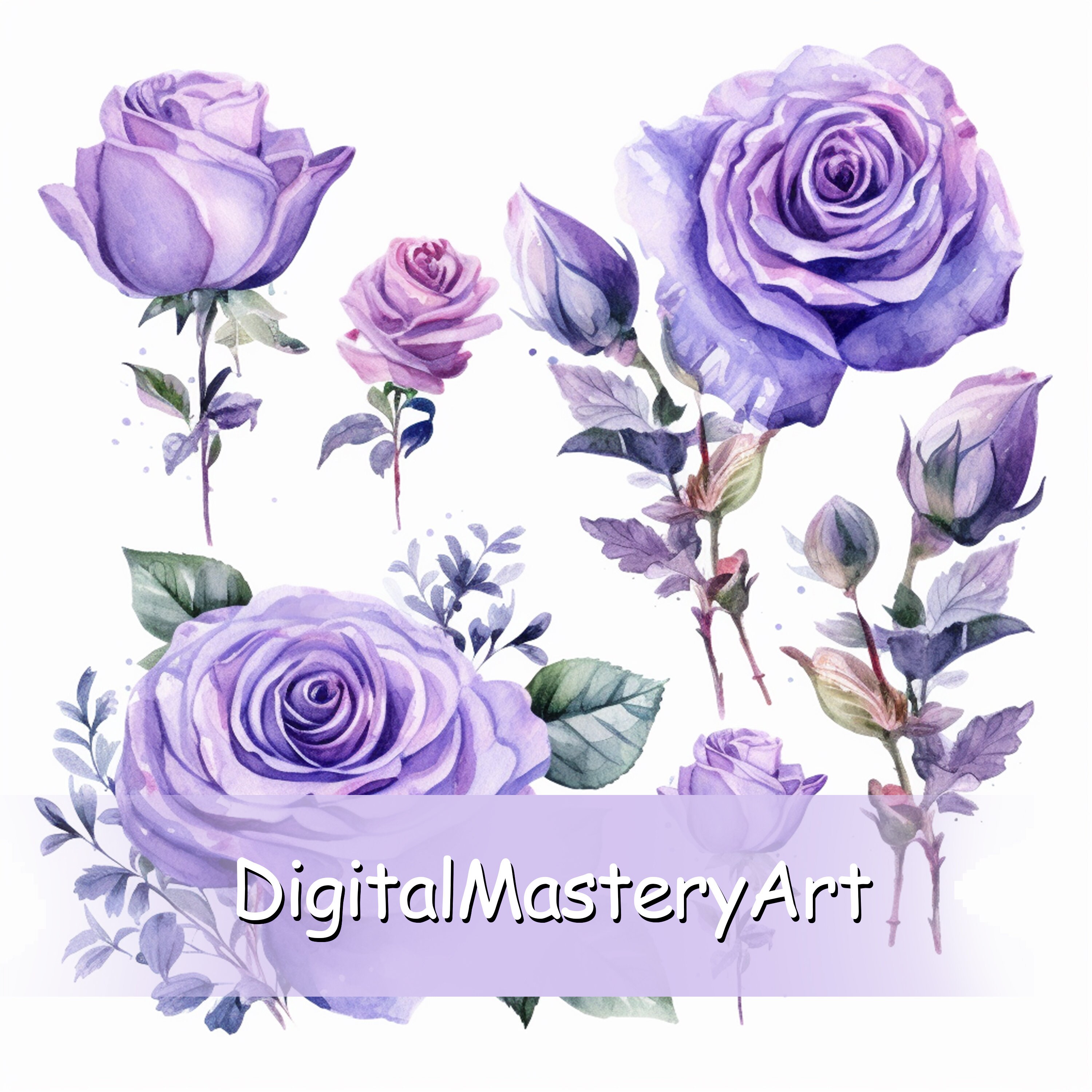 Watercolor Lavender Roses Clipart/ Stunning Floral Designs for Crafts ...