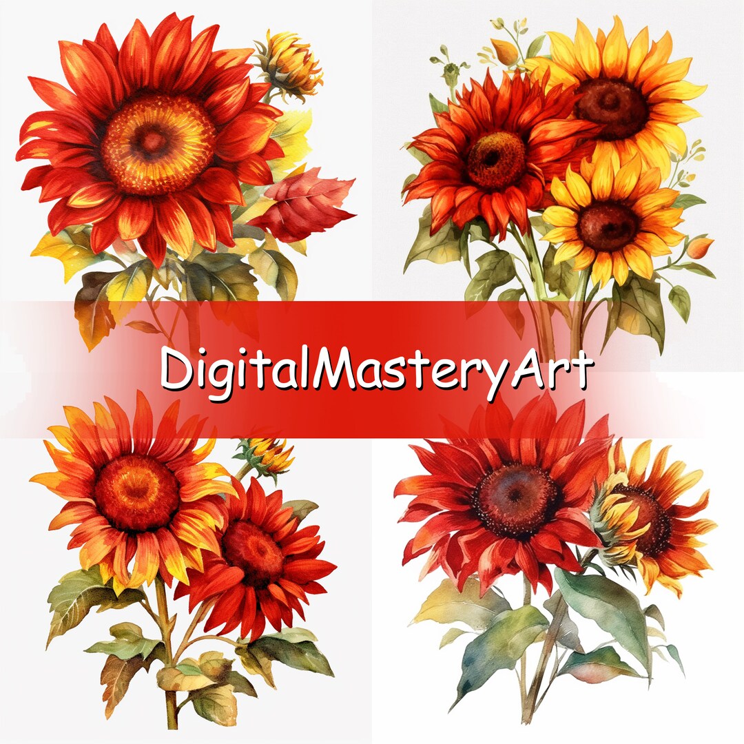 Hand-painted Red Sunflower Clipart: Beautiful Watercolor Illustrations ...