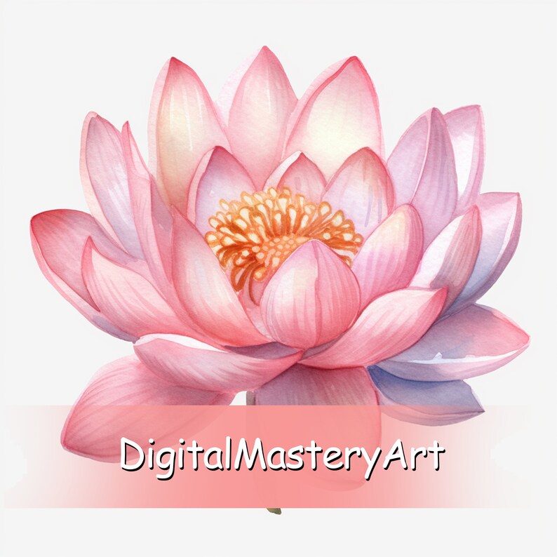 Pink Lotus Clipart, Delicate Watercolor Blooms for Digital Designs and ...