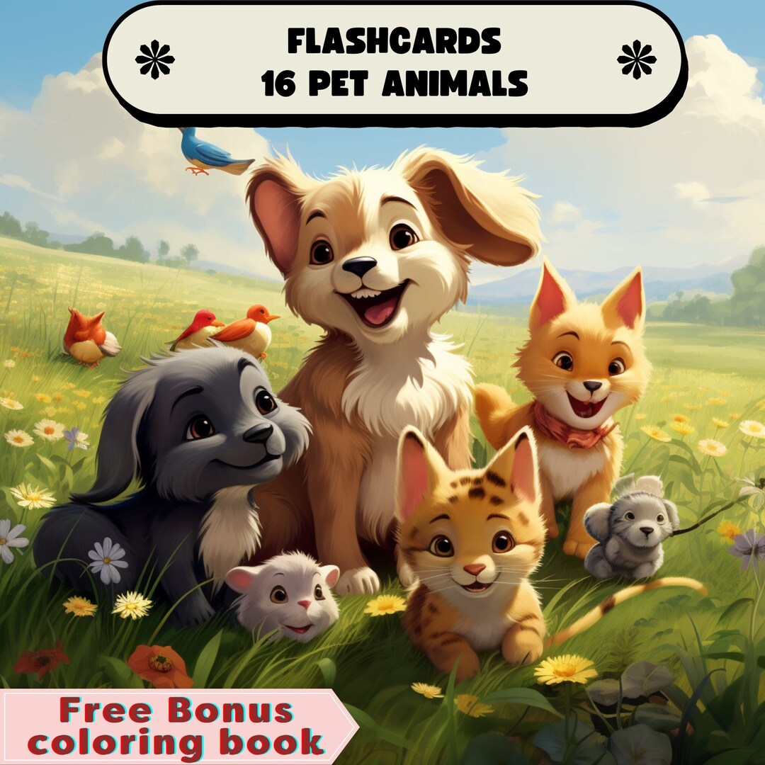 16 PET ANIMALS Flash Card | Montessori Cards Nomenclature Preschool ...