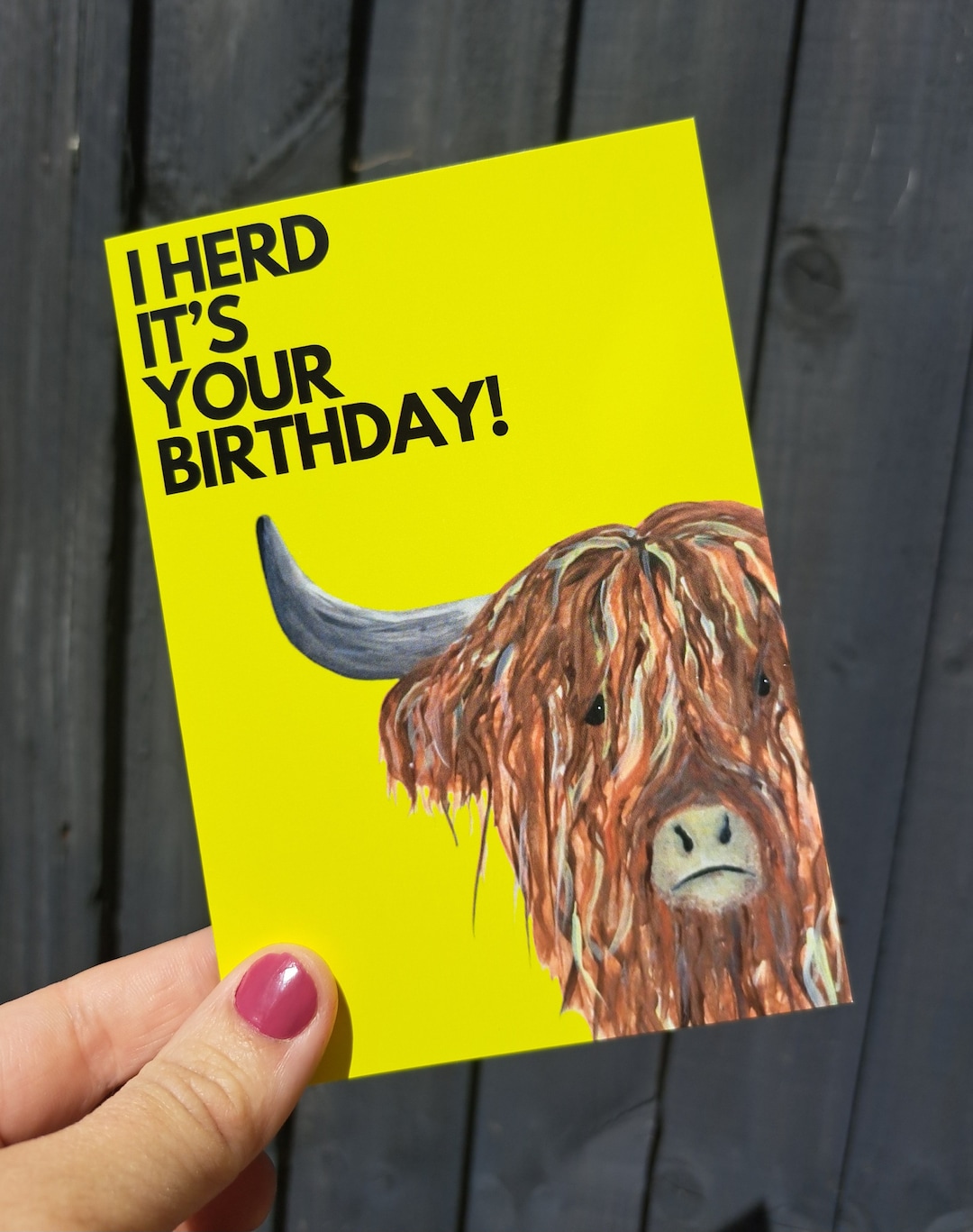 Highland Cow Birthday Card Funny Birthday Card Rude Card I Herd It's ...
