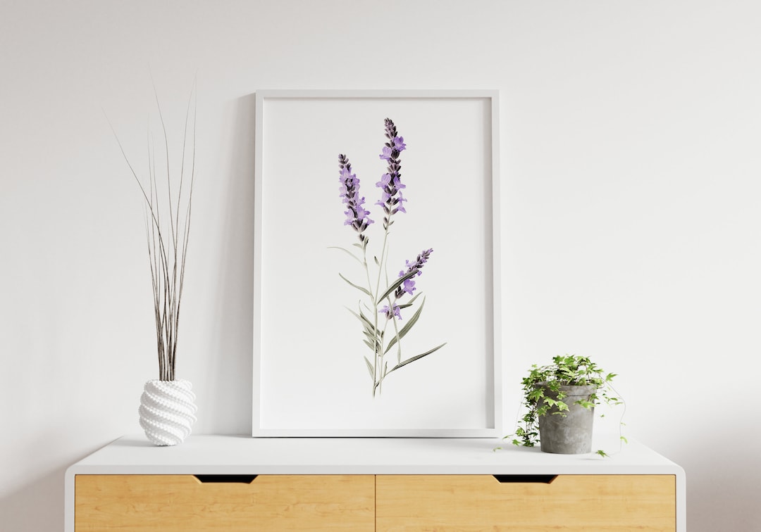 Lavender Watercolor Art - Lavender Wall Art - Lavender Digital ...