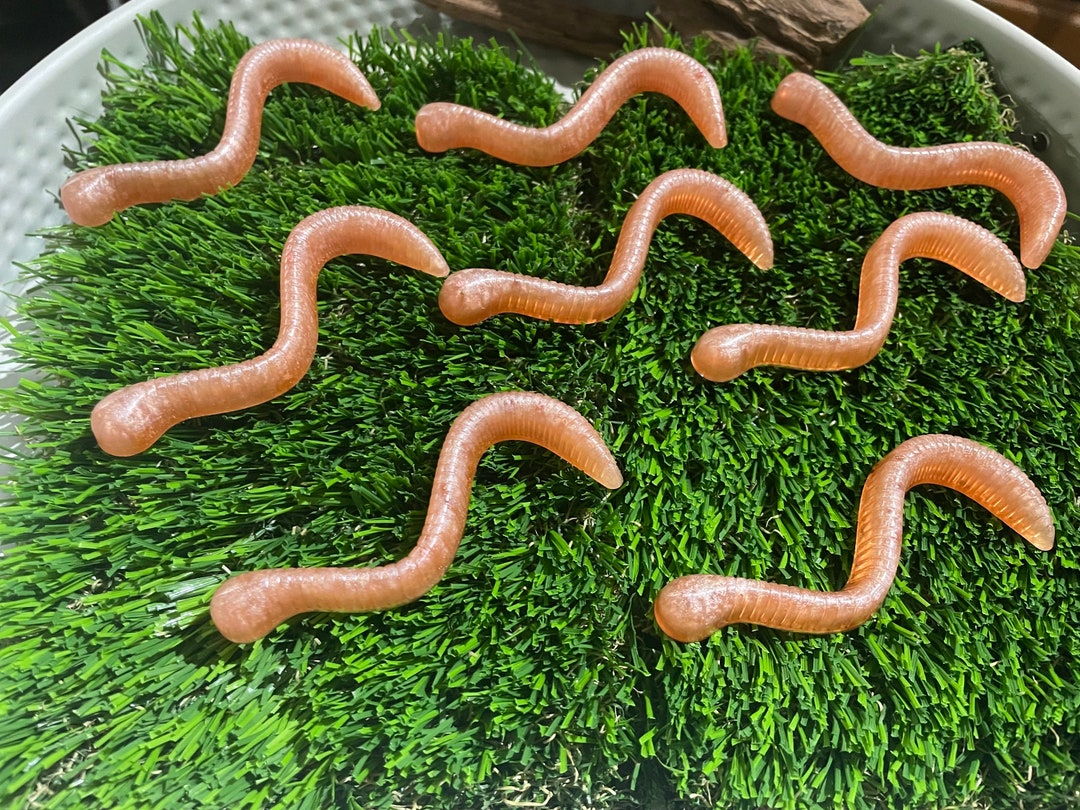 Resin Wiggly Worms Resource. Mud Kitchen / Garden/ Autumn Themed Play ...