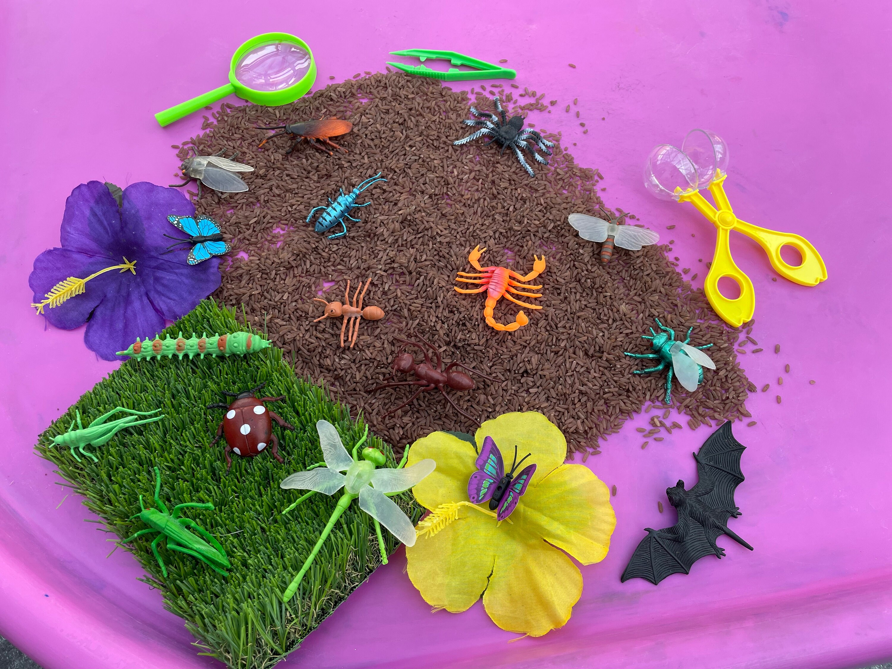 Bug Messy / Sensory Play Tuff Tray Kit. Toddler Play - Etsy
