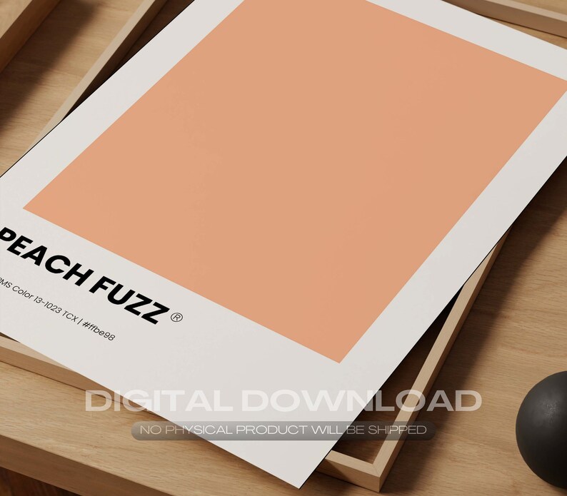 Pantone Color of the Year, PANTONE 2024 Print Poster, Pantone PEACH FUZZ Pantone Wall Art ...