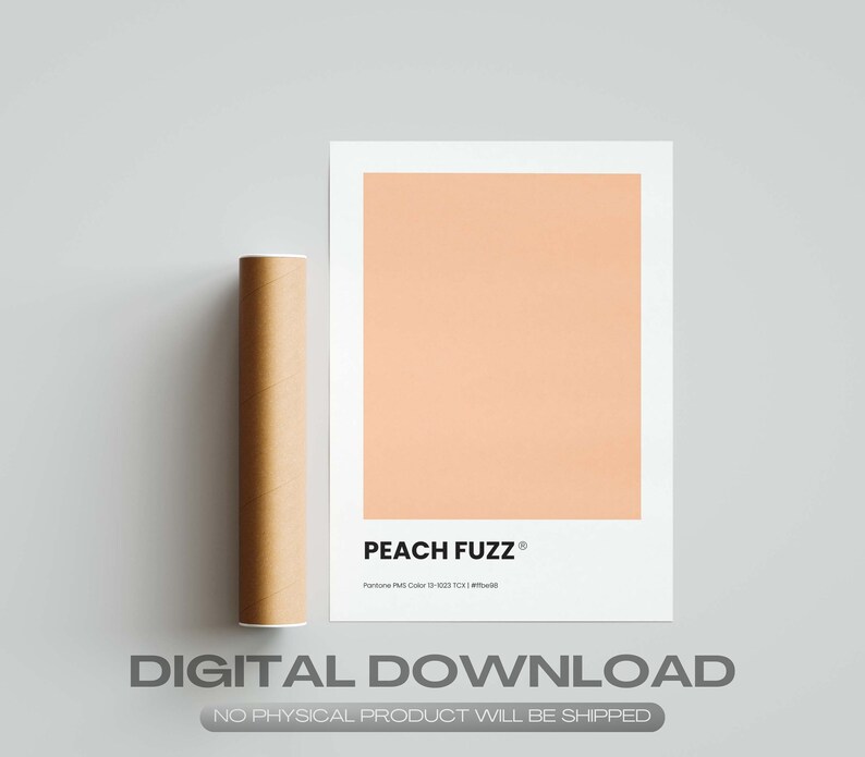 Pantone Color of the Year, PANTONE 2024 Print Poster, Pantone PEACH FUZZ Pantone Wall Art ...