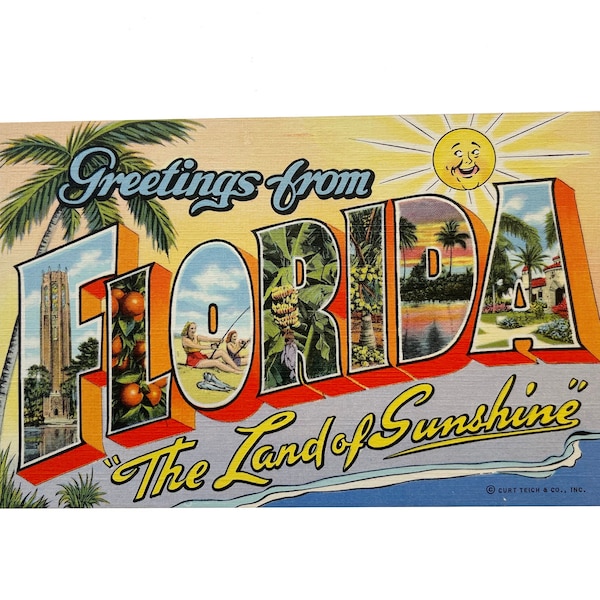 Florida Postcard - Etsy