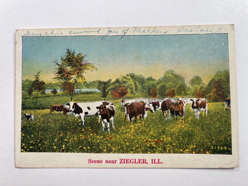 Vintage 1939 Cattle Pasture Ziegler Illinois - Light Green Benjamin ...