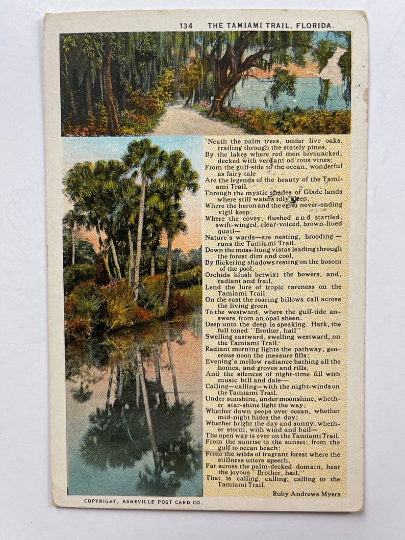 Antique 1920s Postcard the Tamiami Trail Florida Poem Tourism Postcard ...