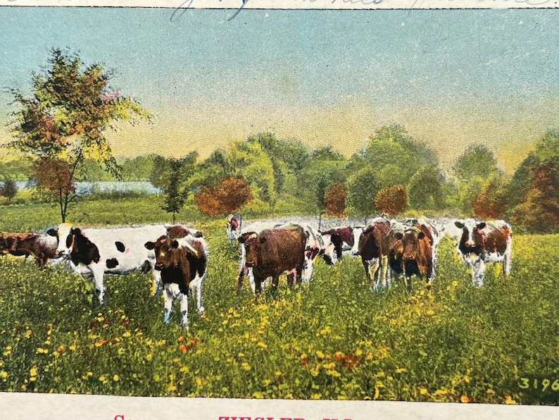 Vintage 1939 Cattle Pasture Ziegler Illinois - Light Green Benjamin ...