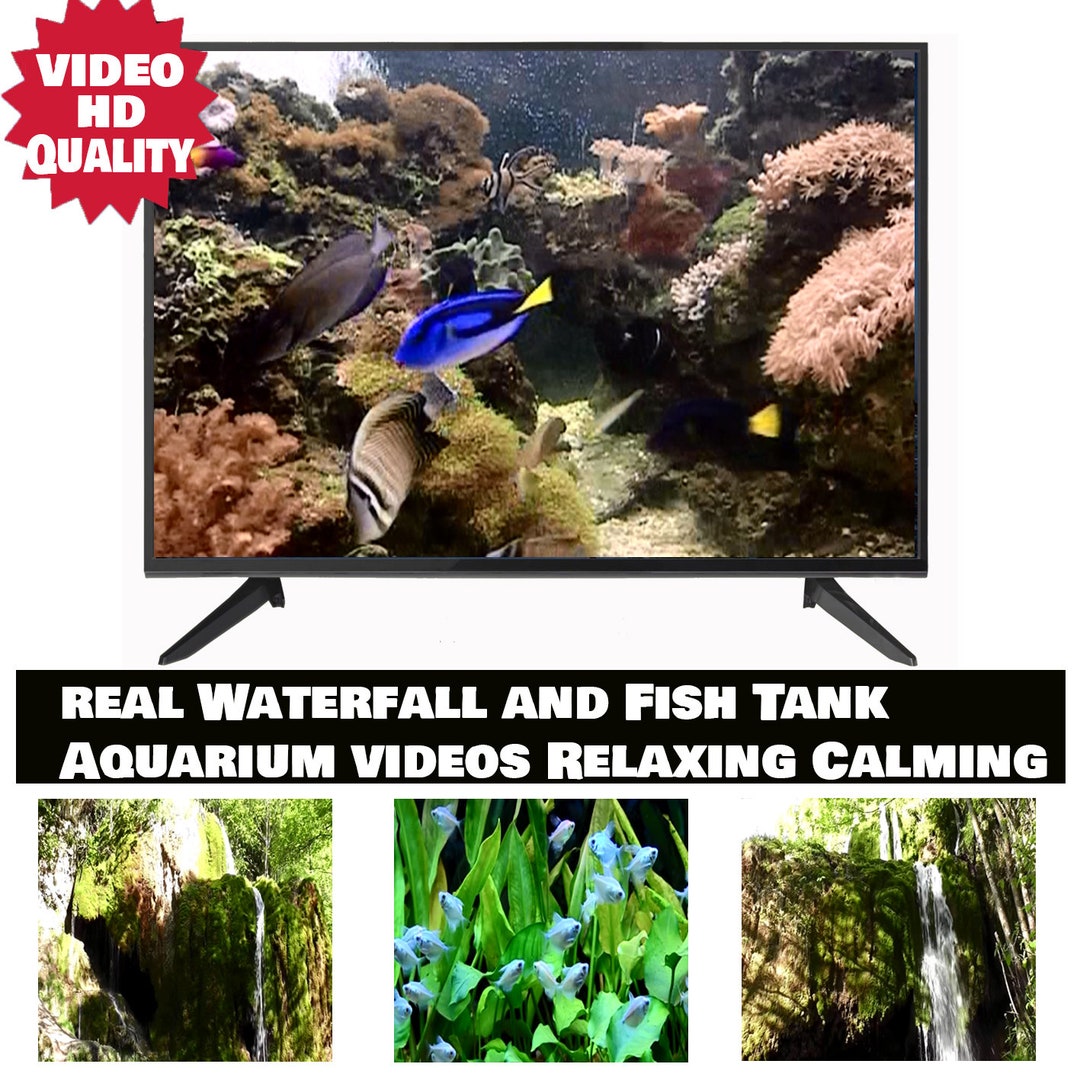 Real Life Waterfall and Fish Tank Aqarium Relaxing Calming Videos ...