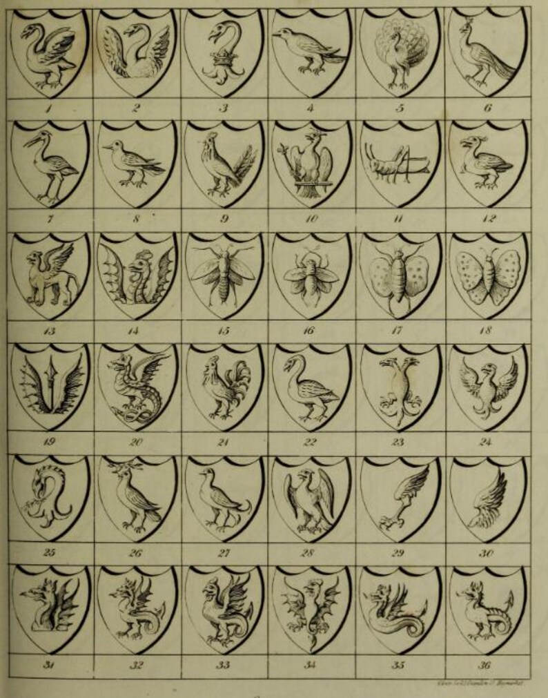 Encyclopaedia Heraldica Complete Dictionary Heraldry 5 Volume PDFS ...