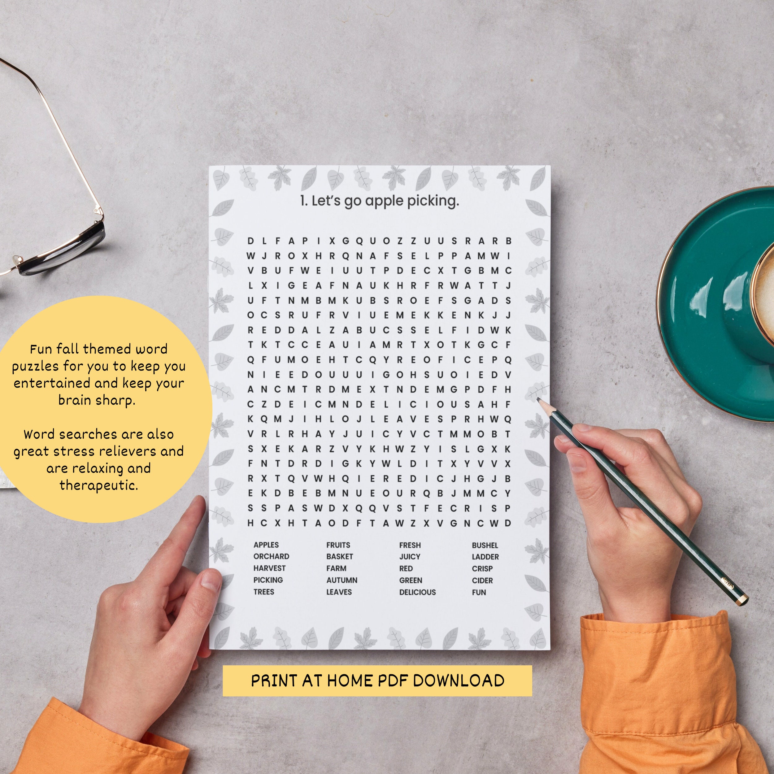 Autumn Word Search Puzzles Fall Themed Word Search PDF - Etsy