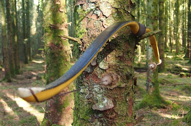 Osage Longbow 52#@27" Sinew and Snake Skin Backed Reflex/deflex ...