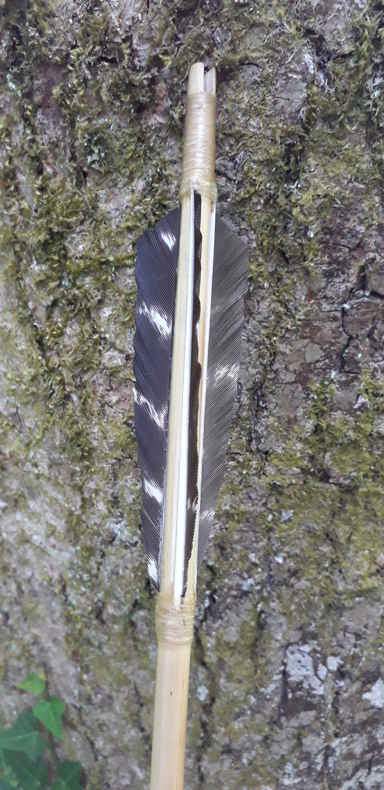 Set of 3 Custom Made Hand Built Primitive Arrows - Etsy