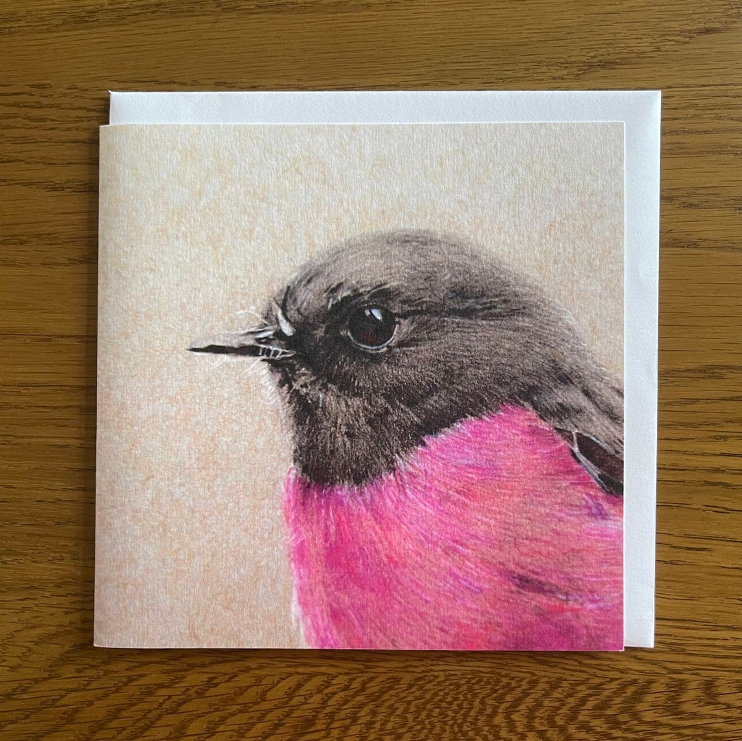 Pink Robin Greetings Card Pink Robin Art on Greetings Card Pink Robin ...