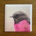 Pink Robin Greetings Card Pink Robin Art on Greetings Card Pink Robin ...