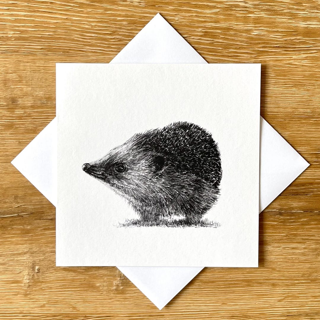 Hedgehog - Greetings Card (hieronymous) - Etsy