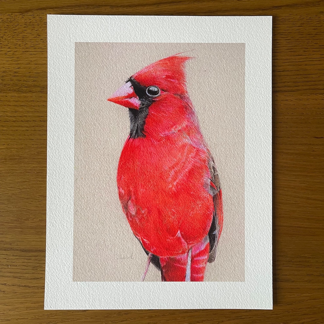 Northern Cardinal - Limited Edition Print - Etsy