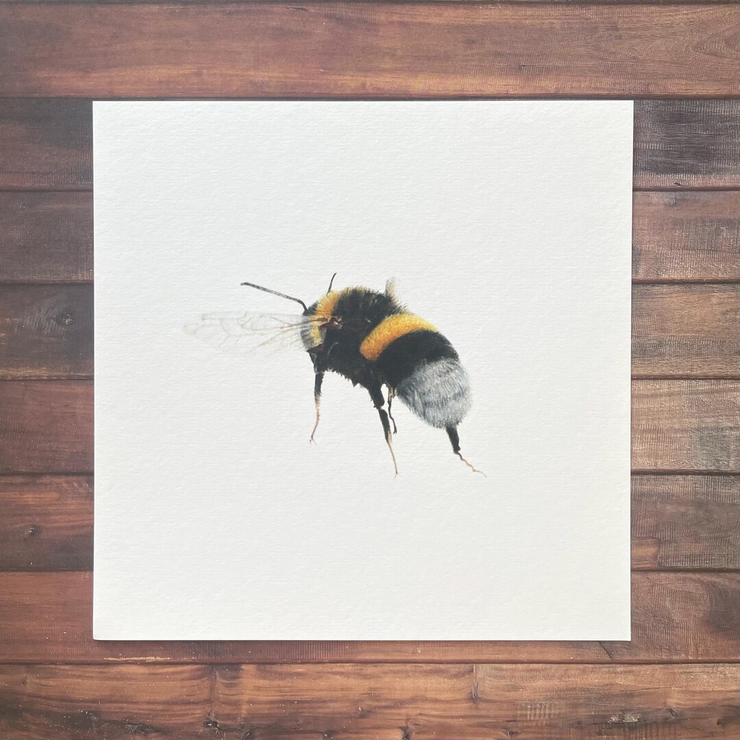 Bumblebee - I’ll Bee Back - Fine Art Print - Etsy