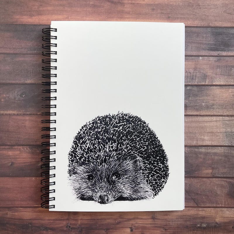 Hedgehog Journal - Etsy