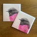 Pink Robin Greetings Card Pink Robin Art on Greetings Card Pink Robin ...