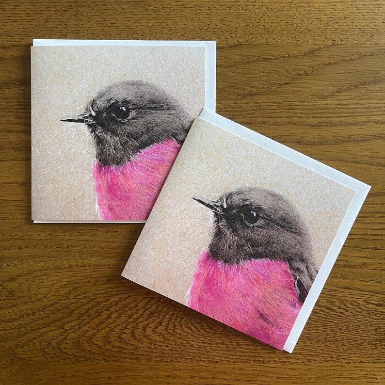 Pink Robin Greetings Card Pink Robin Art on Greetings Card Pink Robin ...