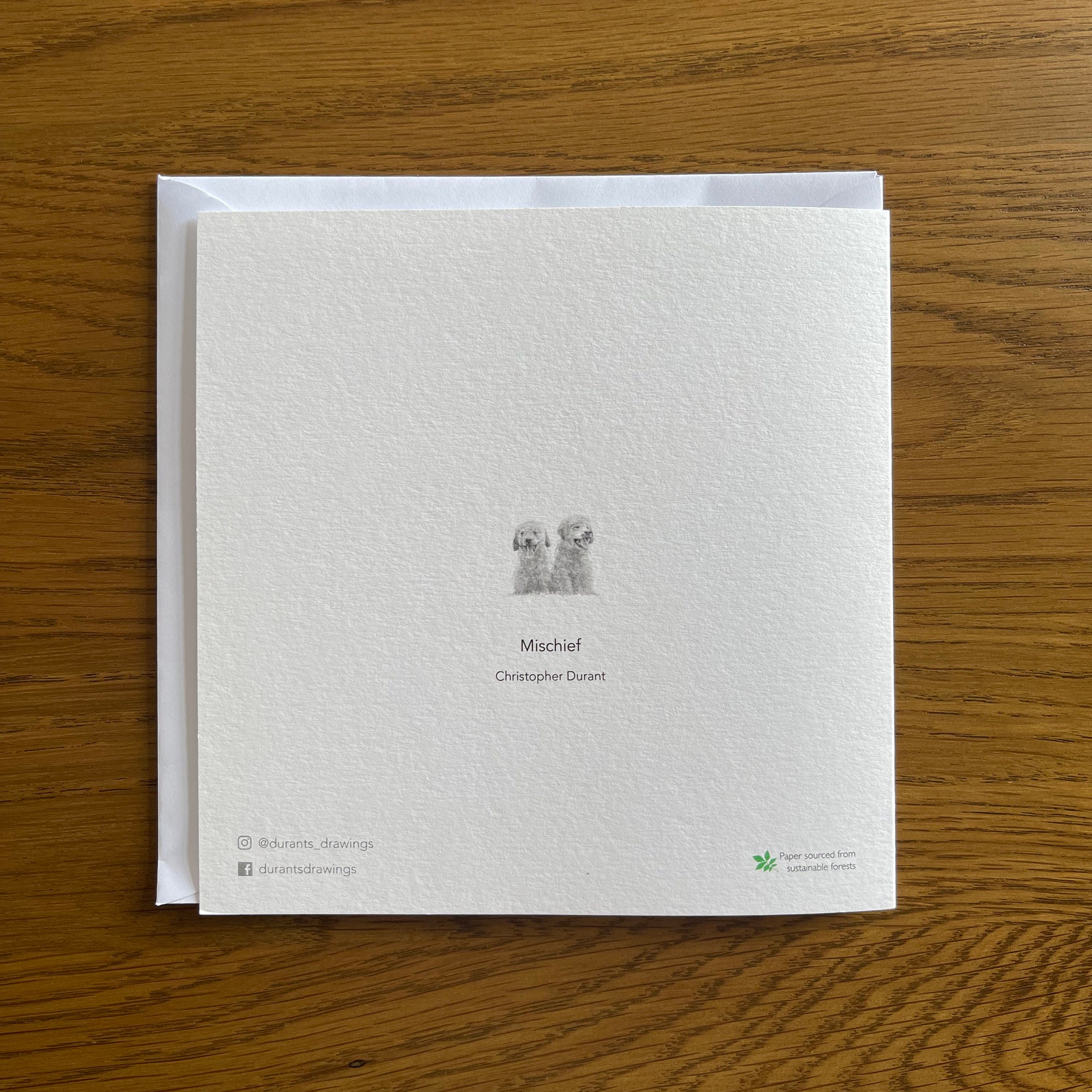 Labrador Pups Greetings Card - Etsy