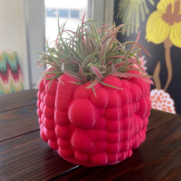 Raspberry Decor - Etsy