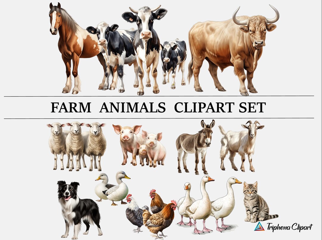 Farm Animals Clipart Set Cute Watercolour Farm Animals - Etsy Canada