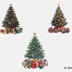 Christmas Tree Clipart Set 12 PNG Holiday Christmas Tree Illustrations ...