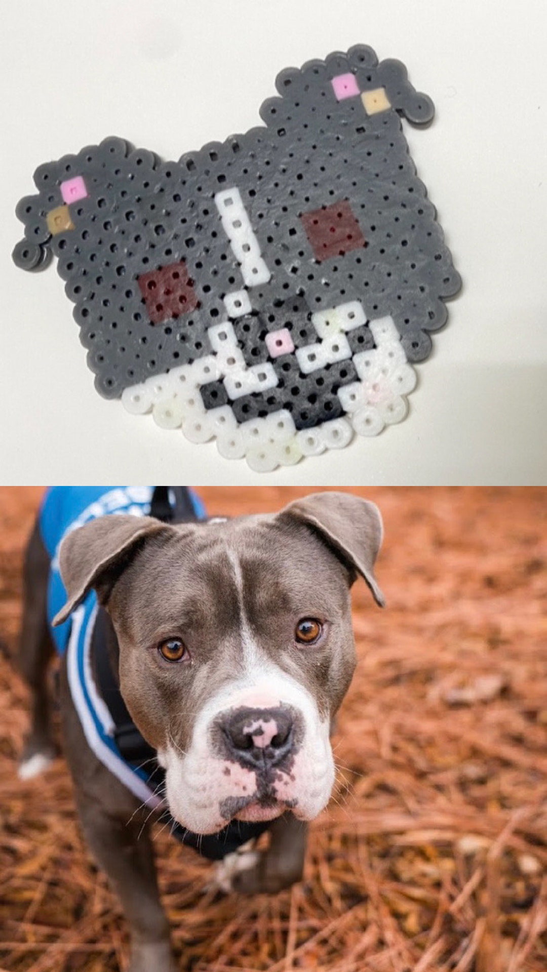 Custom Perler Bead - Etsy