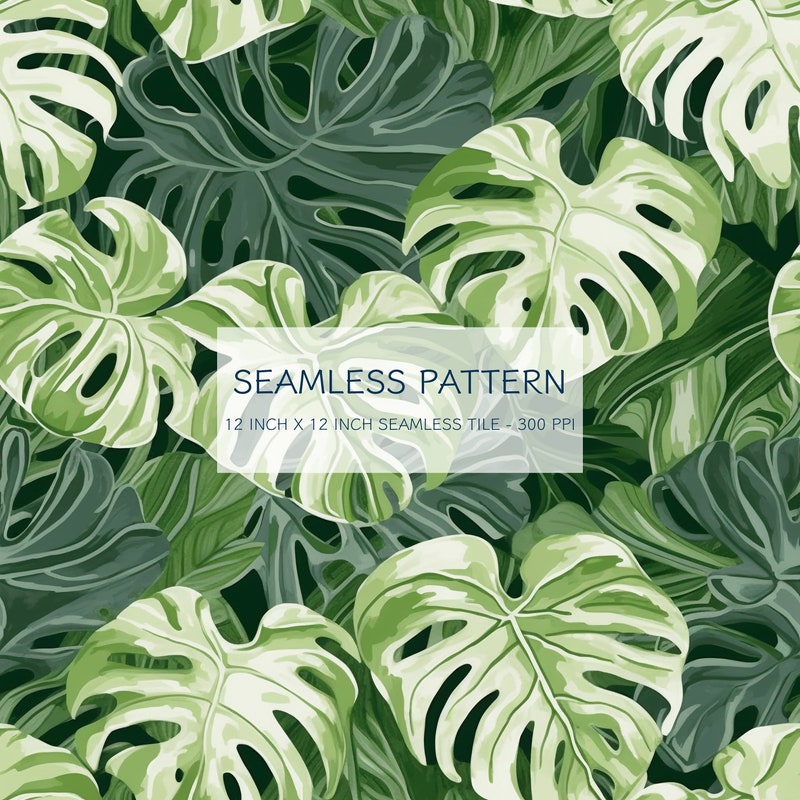 Variegated Monstera - Etsy