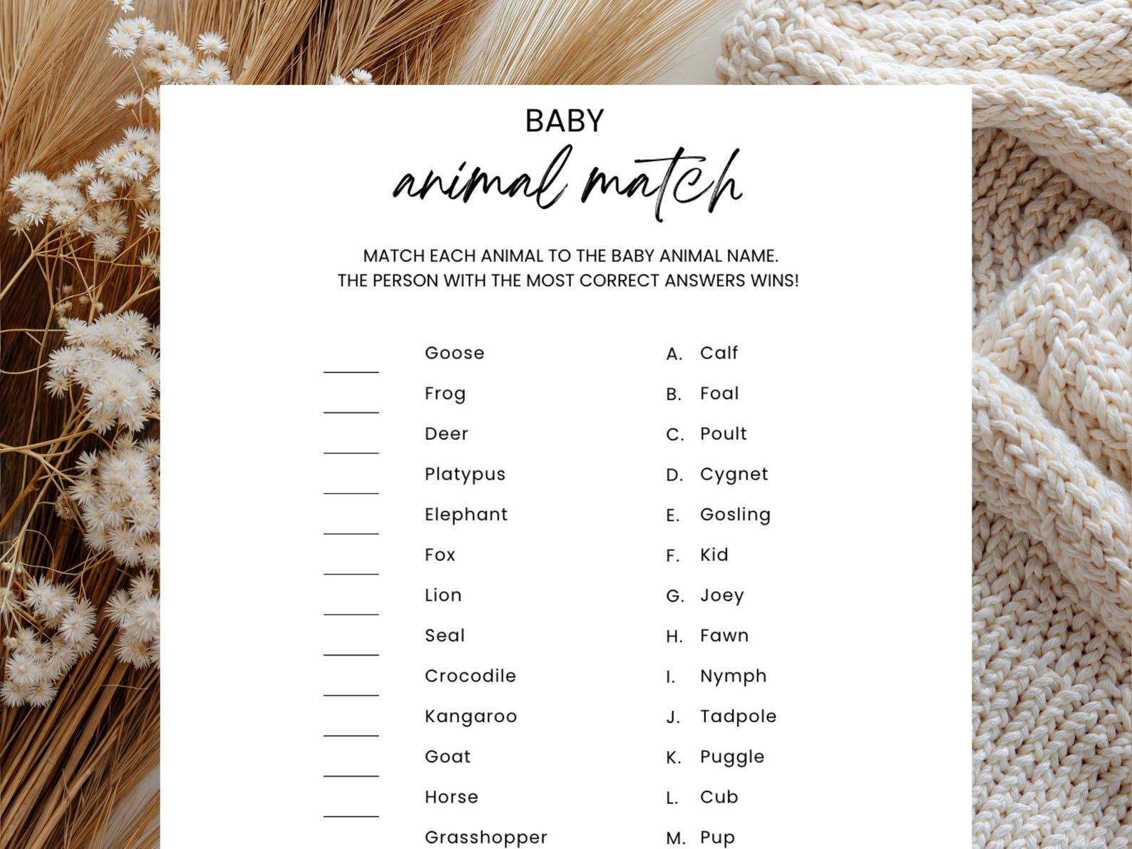 Baby Animal Matching Game, Modern Baby Shower, Editable Template ...