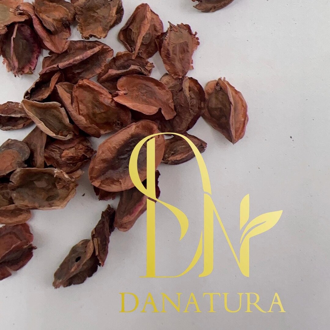 Dried Rhubarb Seeds - Nutrient-rich Superfood, Perfect for Smoothies ...
