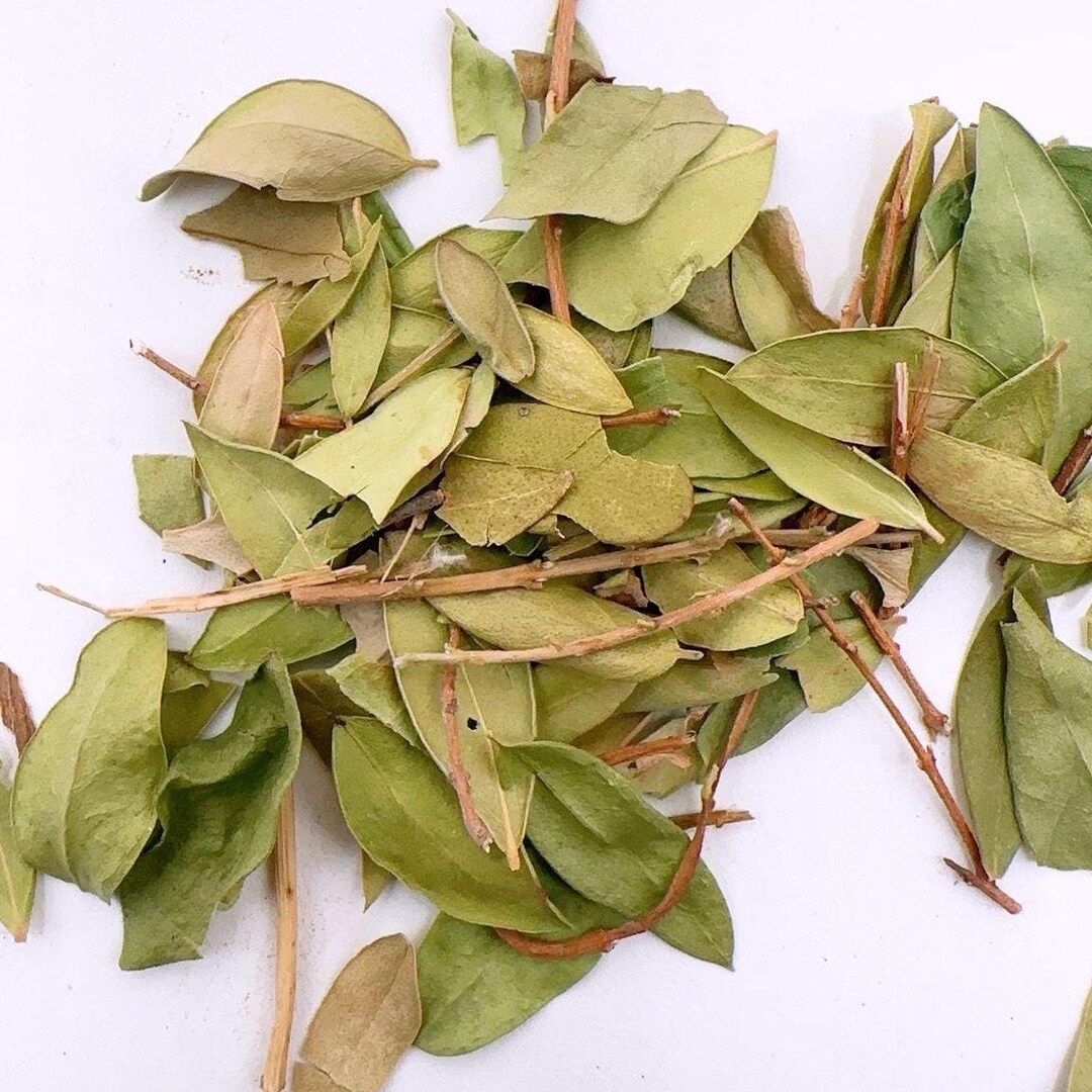 Dried Myrtle Leaves | Culinary Herb for Mediterranean Recipes | Natural ...