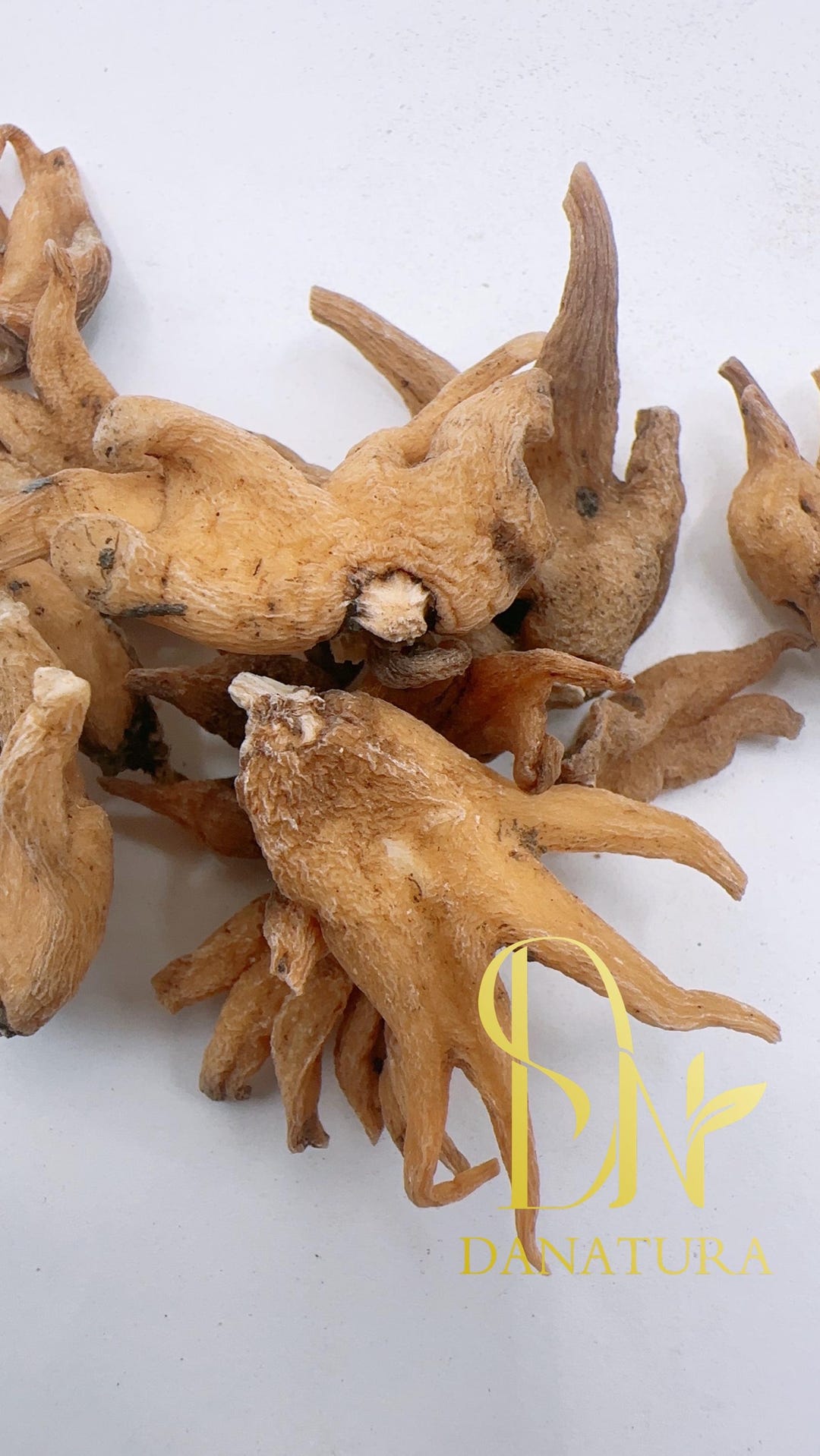 Salep Root | Lucky Hand Root | 100% Natural Orchid Root | Whole Roots ...