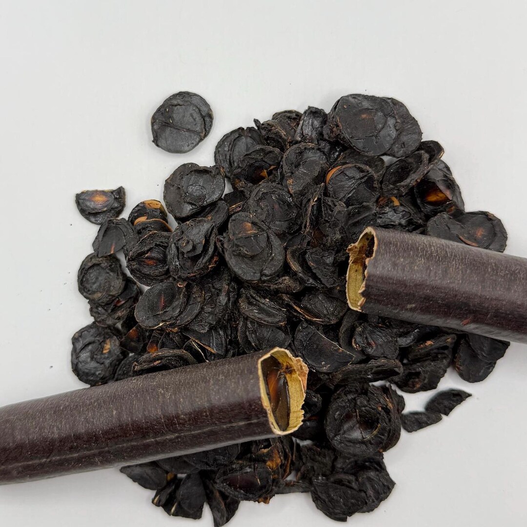 Amaltas Pulp | Cassia Fistula | Sun-dried Raw Herb | Ayurvedic Detox ...